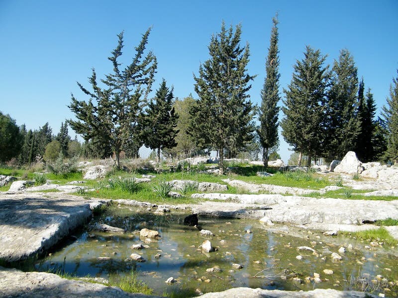 Shoham 2011 stock image. Image of tree, rocks, green - 93112649
