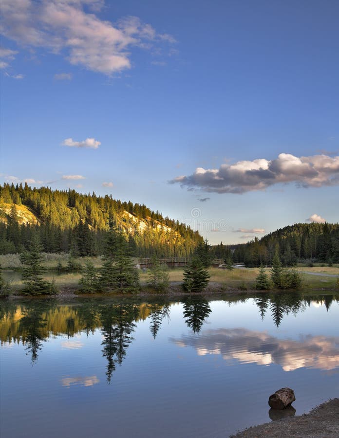 Shone reflections. stock photo. Image of enjoyment, green - 3945744