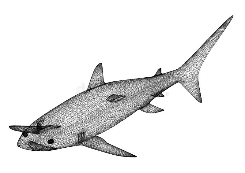 Shark Architect Blueprint - Isolated Stock Illustration - Illustration ...