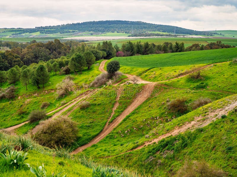 A Shoot of the View in Tabor Creek, Lower Galilee, Israel Stock Photo ...