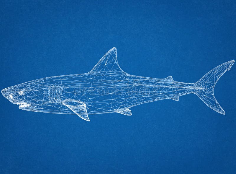 White Shark Architect Blueprint Stock Image - Image of predator ...
