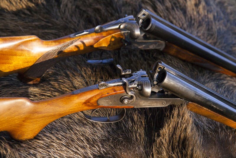 Shootgun stock image. Image of hunting, ammunition, fretwork - 47709387