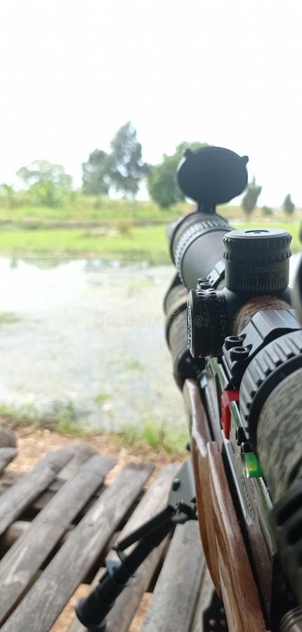 Shooting with an Air Rifle is a Fun Hobby Stock Photo - Image of ...