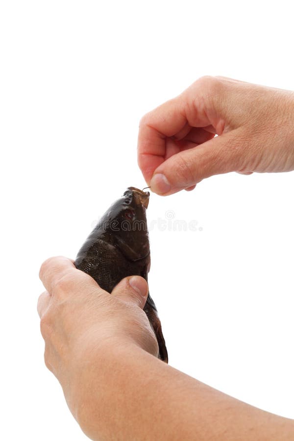 Fishing pole against ocean stock photo. Image of photograph - 2046156