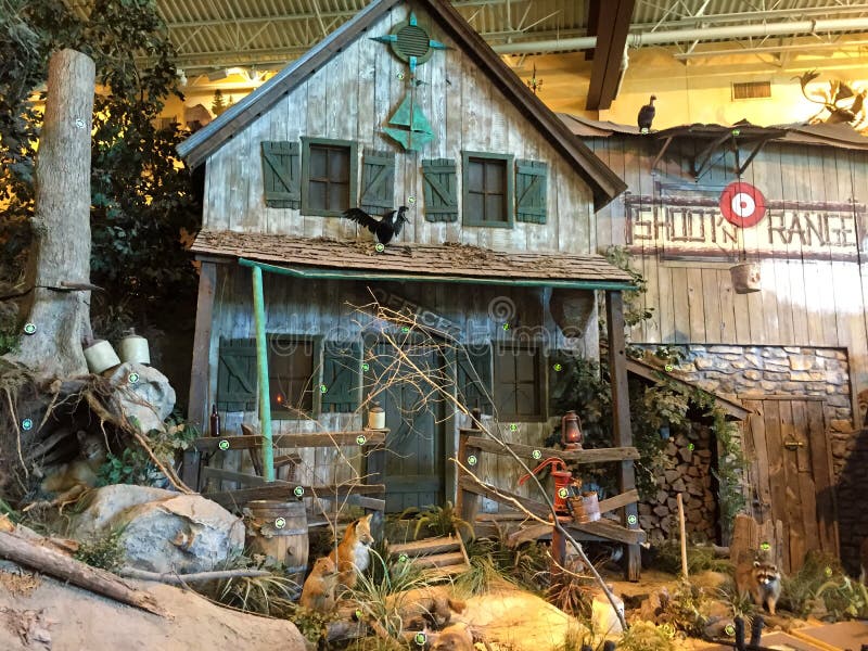 Bass Pro Shops, Springfield, Missouri Bear in Entry Editorial Photo ...