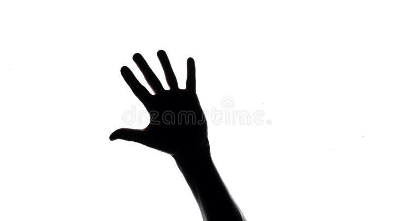 Shooting of Male Hand Silhouette on White Background Stock Footage ...