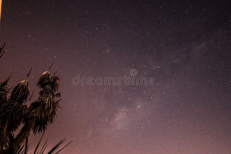 Tree with Milky Way stock photo. Image of night, fiery - 200508222