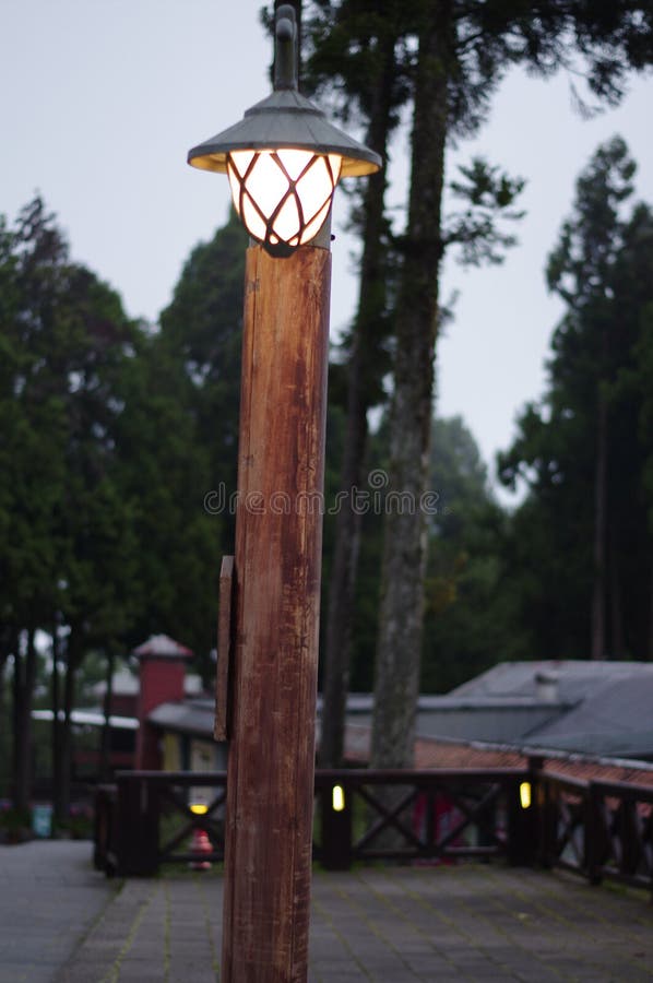 Shooting Night Street Lights in the Forest Stock Image - Image of ...