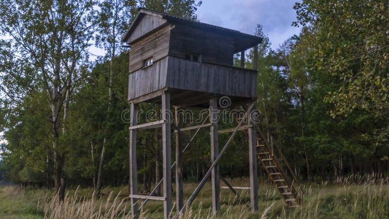 A Shooting and Observation Tower for Hunting in the Forest at Dusk ... A Shooting and Observation Tower for Hunting in the Forest at Dusk ...