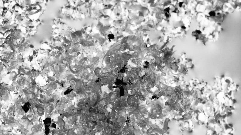 Shooting of Small and Micro Plastic Pieces in Water Environment Stock ...