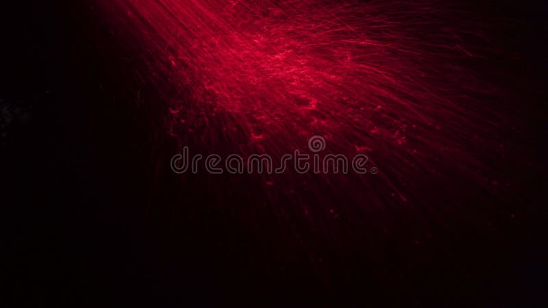 Shooting of Sprinkle Drops on Red Background Stock Video - Video of ...