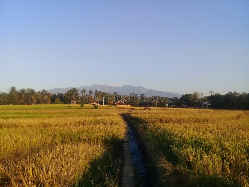 Shooting Village of Morning Time Stock Photo - Image of morning, time ...