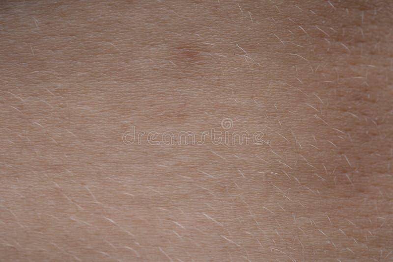 Shooting of the Young Pink Human`s Skin Texture Stock Image - Image of ...