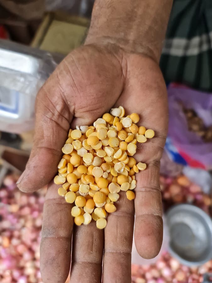 Shop Owner Show Quality of Motor Dal Stock Photo - Image of peas, seed ...