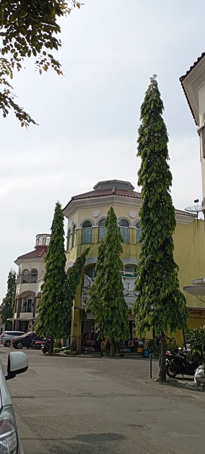 Shopping Building, Parallel To a Large Tree Standing Tall Stock Photo ...