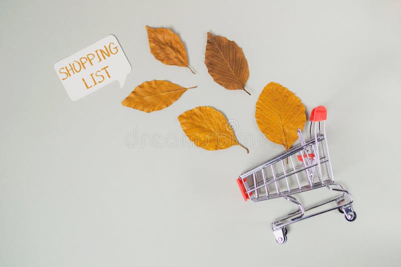 Shopping Cart with a Shopping List on it Stock Photo - Image of product ...