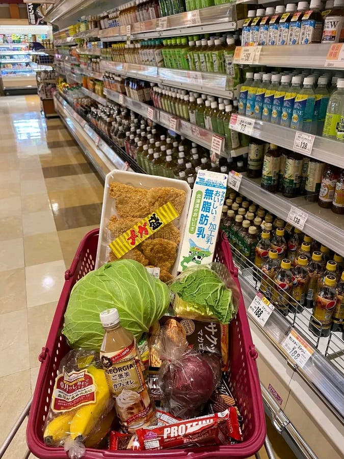 Shopping for daily needs editorial image. Image of shopping - 266618720