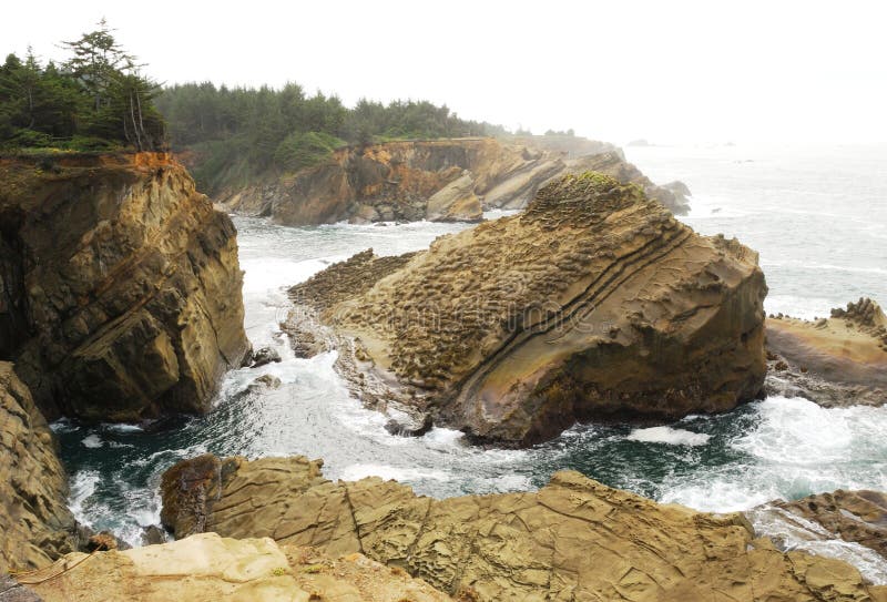 Shore Acres State Park, Oregon Stock Image - Image of flowers, forest ...