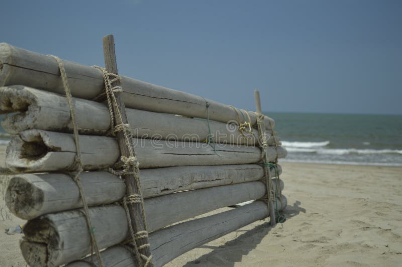 Shore, Beach, Sea, Wood Picture. Image: 116413429