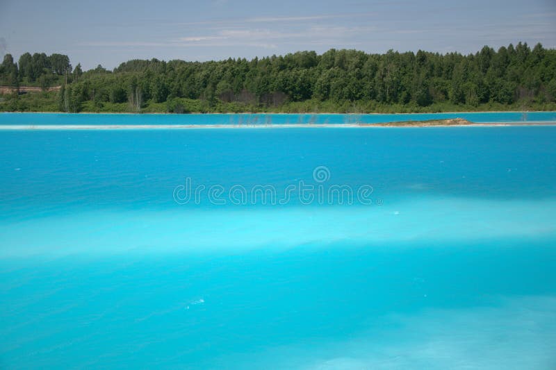 The Shore of a Clean Blue Lake, Covered with Coniferous Forest ...