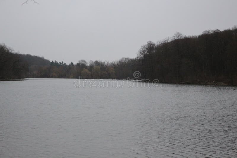 The Shore of the Forest Lake is Empty and Deserted in Early Spring ...