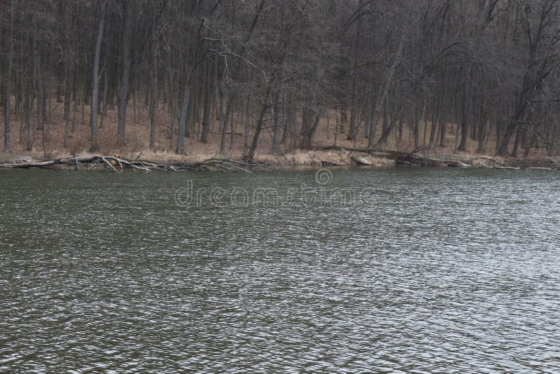 The Shore of the Forest Lake is Empty and Deserted in Early Spring ...