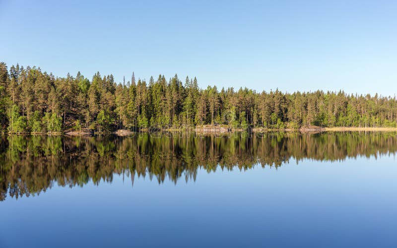 Shore of the forest lake stock photo. Image of sunlight - 118048624