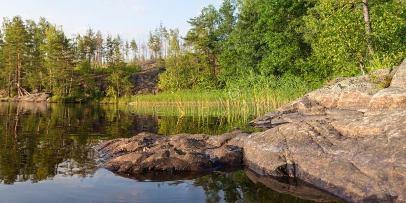 Shore of forest lake stock photo. Image of panoramic - 33031924