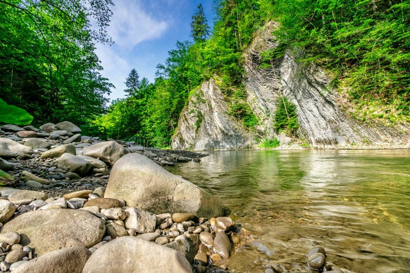 Shore of forest river stock image. Image of scenic, beautiful - 73471233