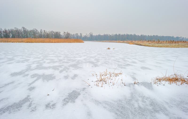 Shore of a Frozen Lake in Winter Stock Photo - Image of scenic ...