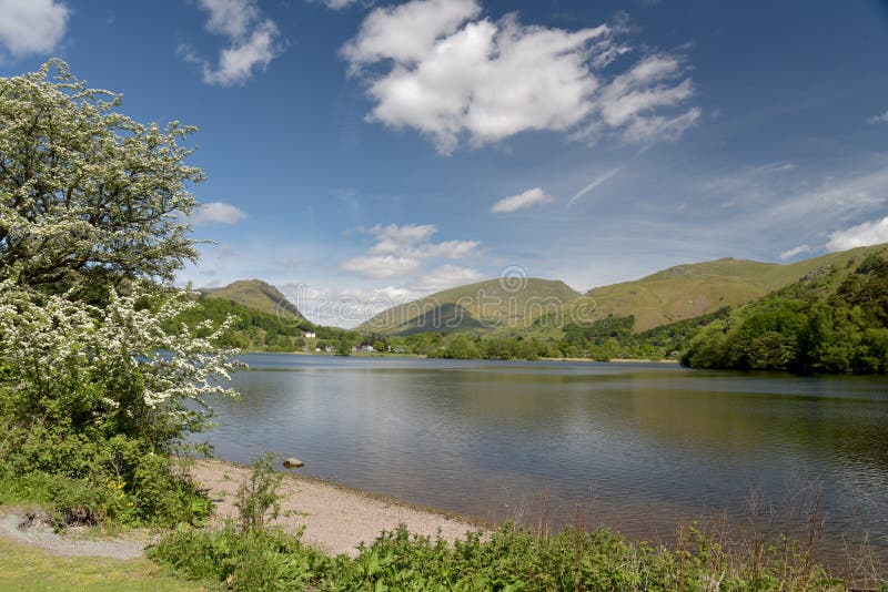 Shore of Grasmere stock photo. Image of hike, bird, sightseeing - 99484916