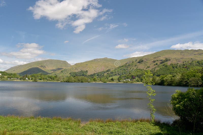 Shore of Grasmere stock photo. Image of mountain, bird - 99484910
