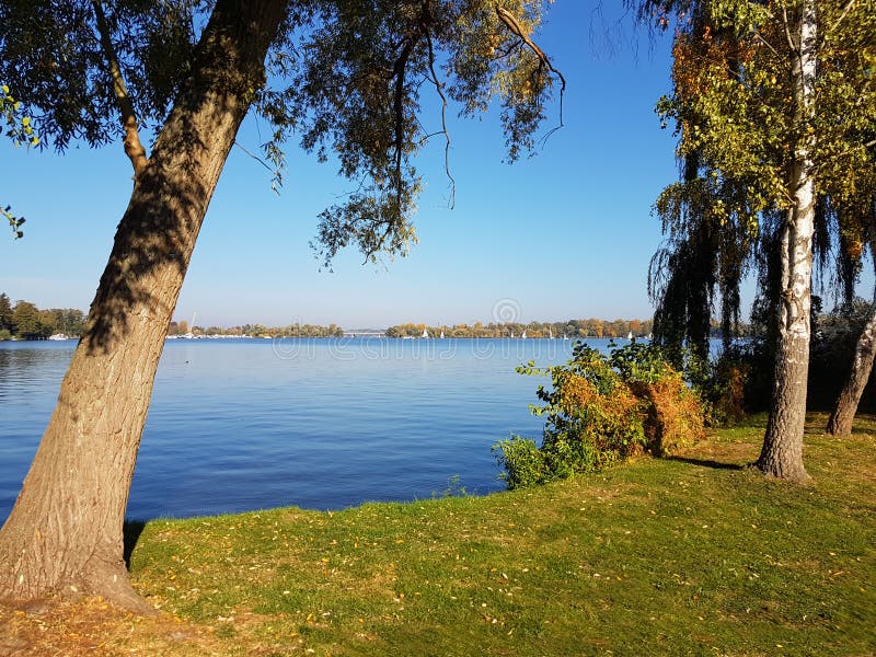 Shore with Grass and Tress with View of Lake Stock Image - Image of ...