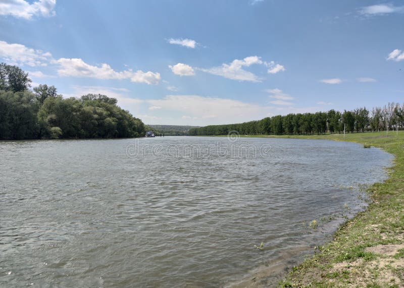 The Shore of the Gray River. Trees with Green Leaves Stock Image ...