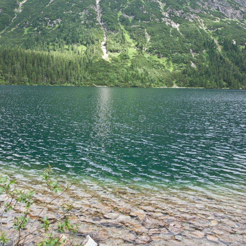 Shore of Lake stock image. Image of scenery, landscape - 25151183