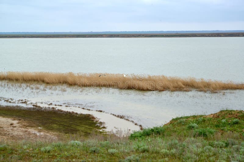 The Shore of Lake Manych-Gudilo in Spring. Kalmykia Stock Photo - Image ...