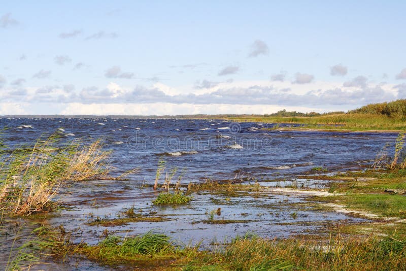 Shore of Lake Peipus stock image. Image of peipus, lake - 12482973