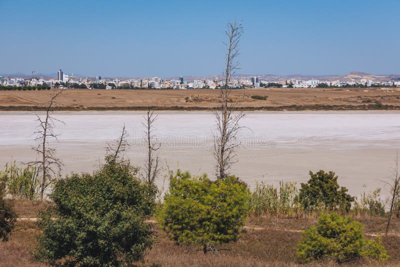 Salt Lake in Larnaca, Cyprus Stock Image - Image of bush, nature: 265642097