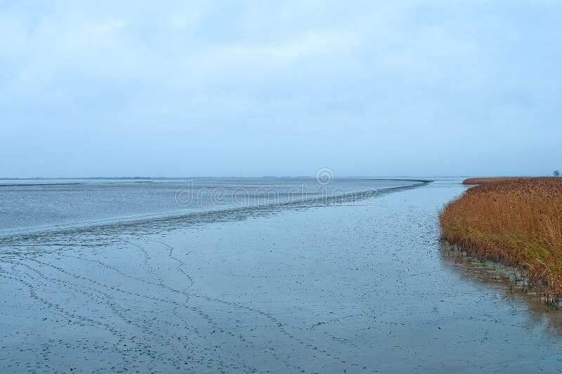 Beach of Husum,North Frisia,North Sea,Germany Stock Image - Image of ...