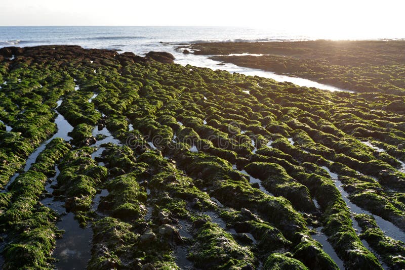 Shore patterns stock image. Image of seaside, ocean, coast - 80793891