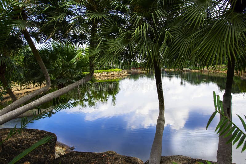 Shore of the Pond. stock image. Image of view, park, nature - 40666107