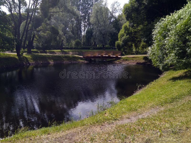 Shore Pond in the Park in Summer Stock Photo - Image of vibrant, pond ...