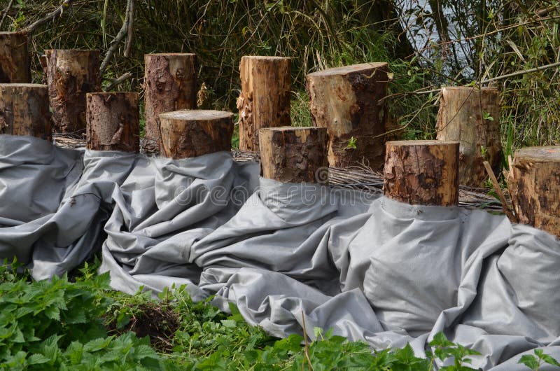 Bank Stabilization Stock Photos - Download 144 Royalty Free Photos