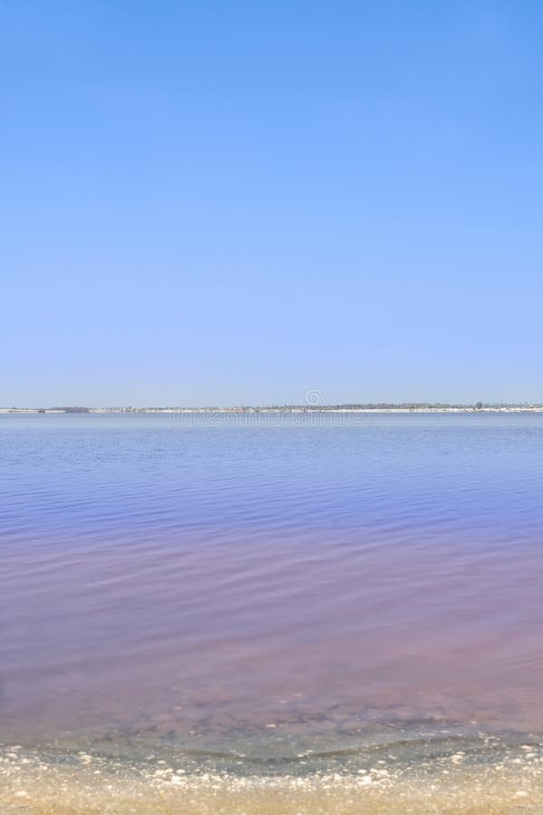 On the Shore of Retba Lake (or Pink Lake) Stock Photo - Image of cane ...