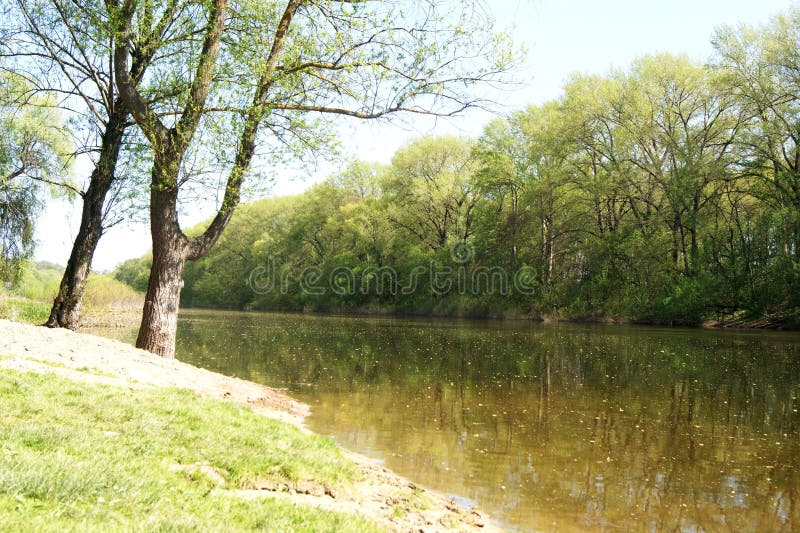 Shore of the River, Early Spring Stock Image - Image of path, mountain ...