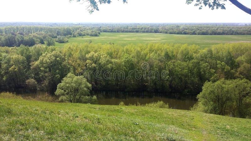 Shore of the River, Early Spring Stock Image - Image of leaf, spring ...