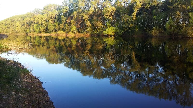 Shore of the River, Early Spring Stock Photo - Image of green, domestic ...