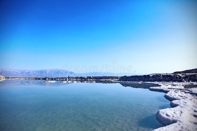 Shore of the sea salt stock photo. Image of wildlife - 23242556