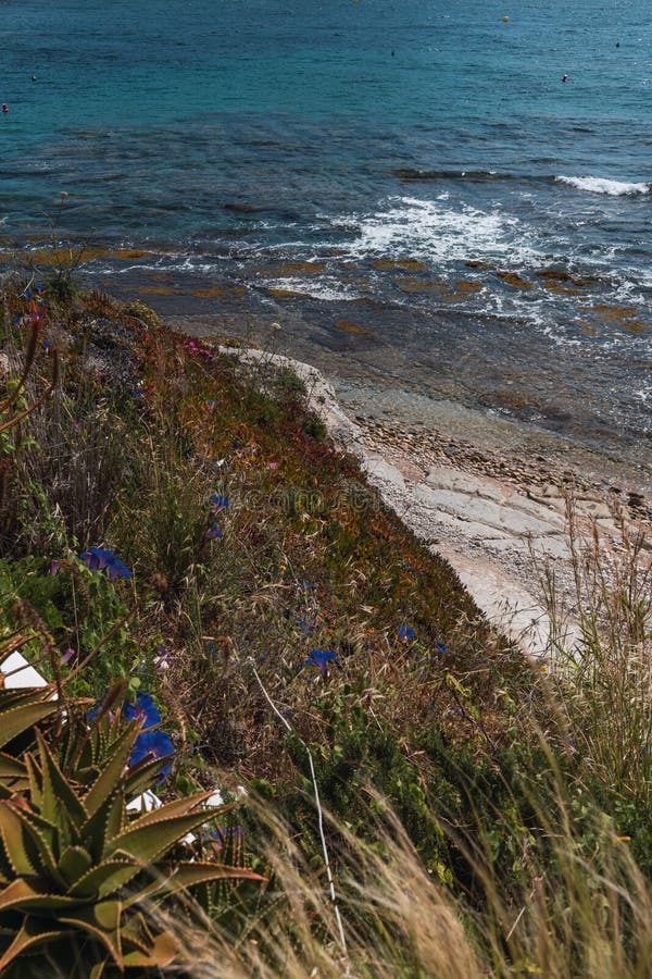 Shore of the Sea in Spain with the Grass in the Foreground Stock Photo ...