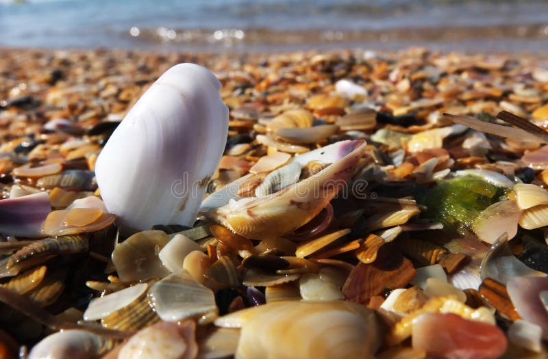 Aldeburgh Scallop on the Beach. Aldeburgh. UK Editorial Stock Image ...